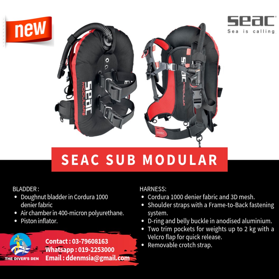 Scuba Diving | Special Deals | The Diver's Den